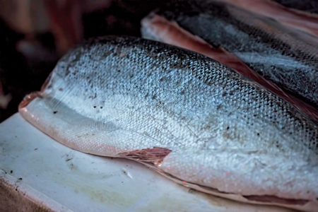 University of Glasgow - University news - Archive of news - 2016 ...